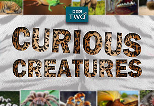 Applause Store | Book Free Tickets | Top Gear | XFactor | BGT | QI ...